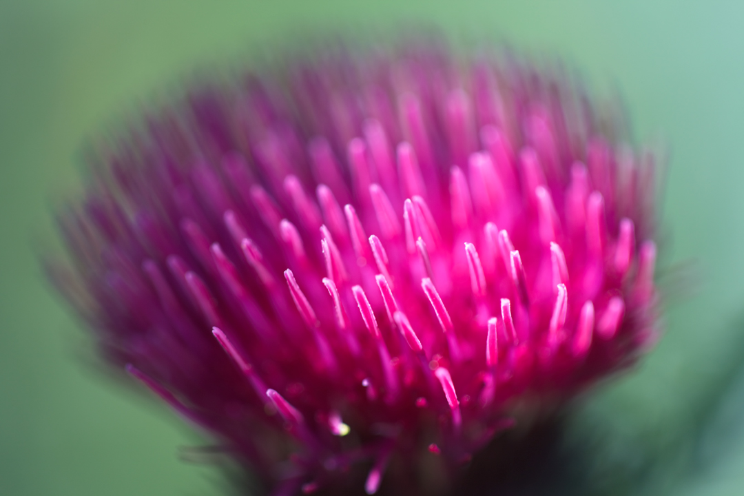 Astute Graphics Essential Tools for Adobe Illustrator | CanalPath ...